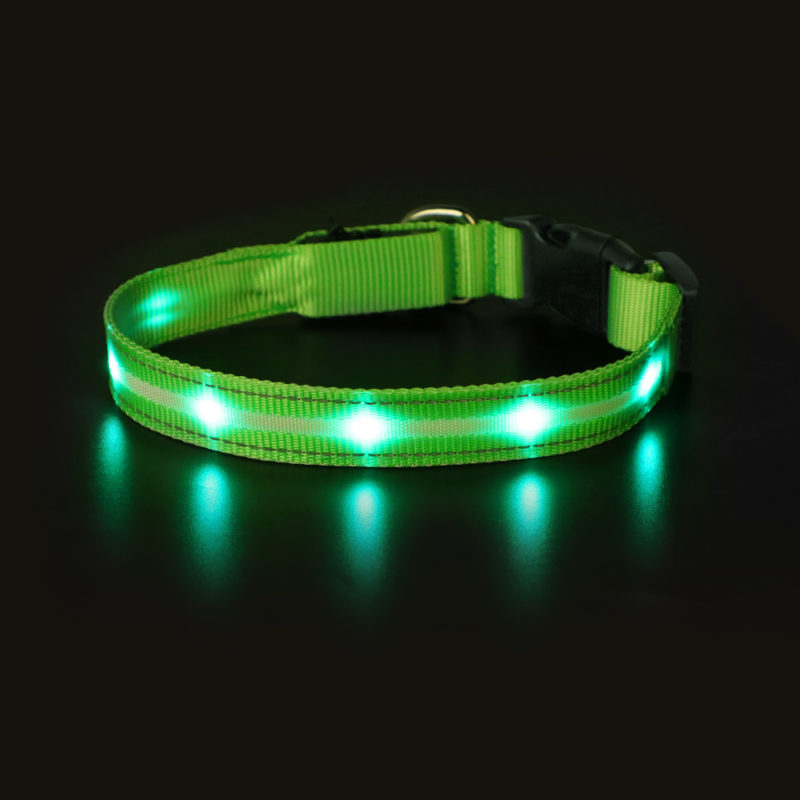 Waterproof LED Dog Collar | Rechargeable Dog LED Collars