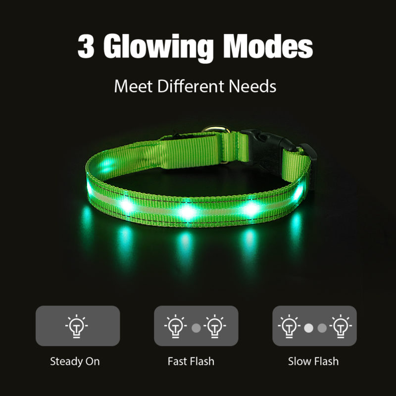 Rechargeable Waterproof LED Collar Online - Cox Creek Pet Supply