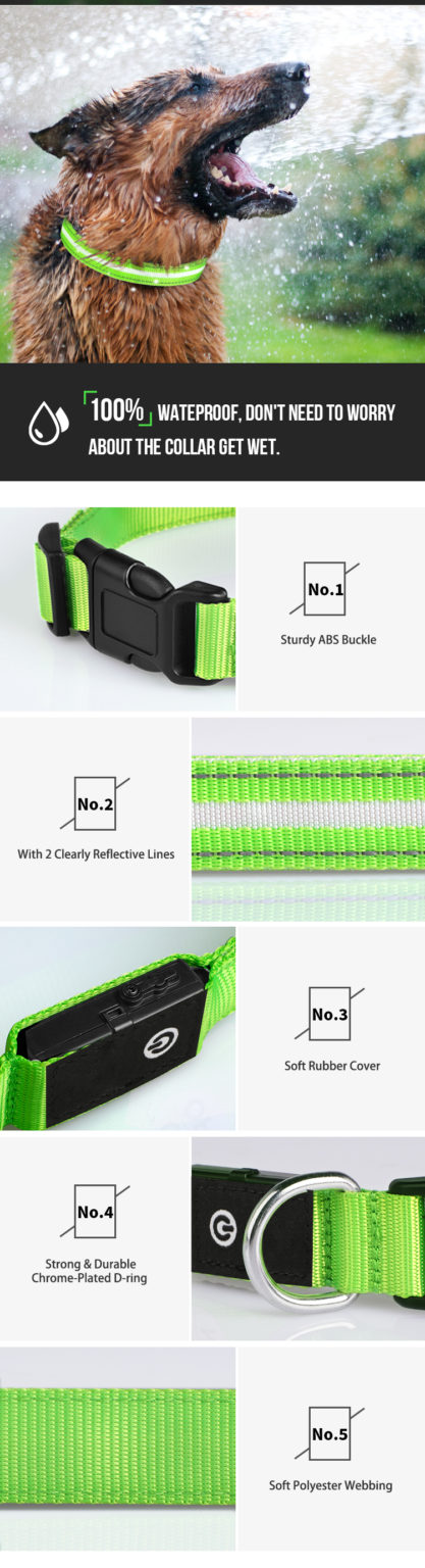 Waterproof LED Dog Collar | Rechargeable Dog LED Collars