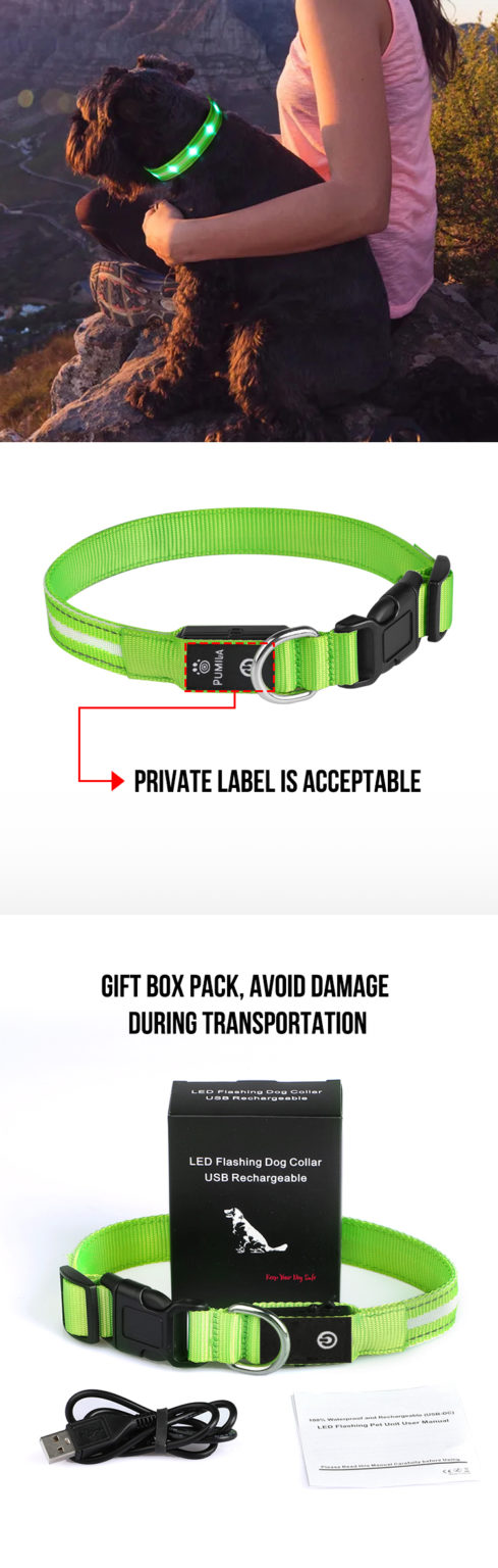 Waterproof LED Dog Collar | Rechargeable Dog LED Collars