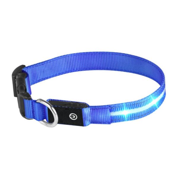Waterproof LED Dog Collar | Rechargeable Dog LED Collars