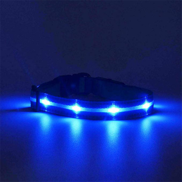 Rechargeable Waterproof LED Collar Online - Cox Creek Pet Supply